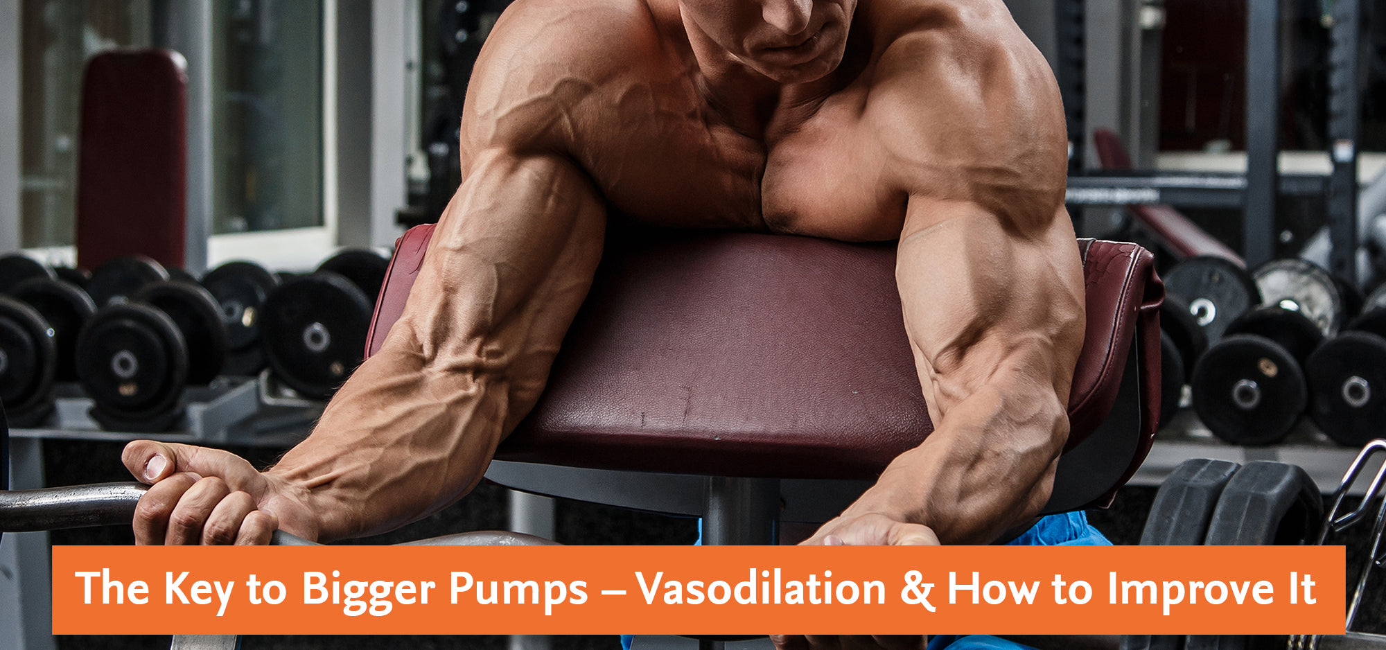 Major Key to Vascular Pumps - How To Guide – Musclesport®