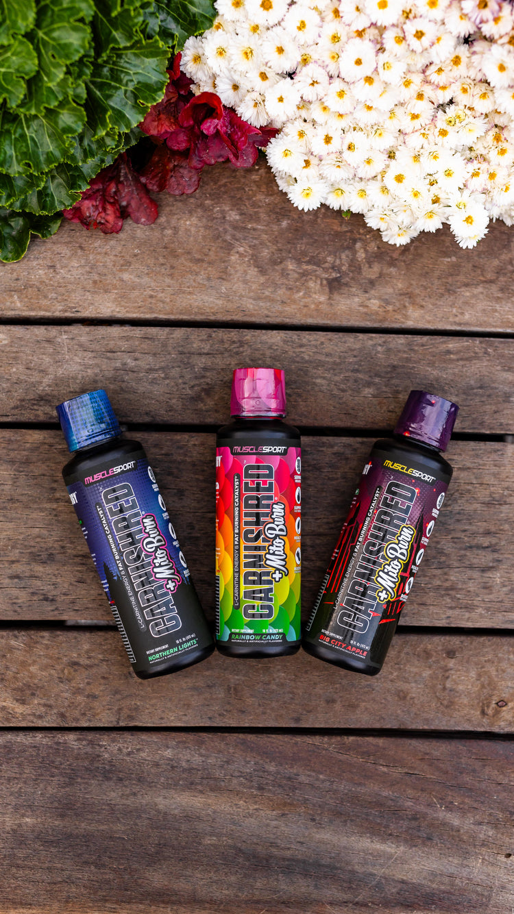 CarniShred™ + MItoburn® Workout Catalyst | MuscleSport® – Musclesport®