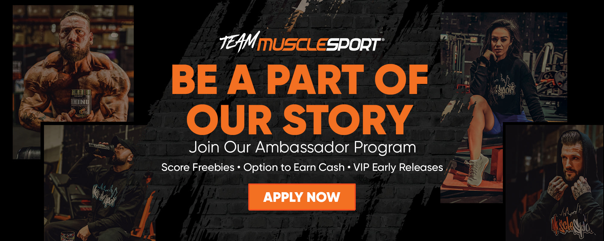 Protein, Preworkout, Build, Shred, Stacks – Musclesport®